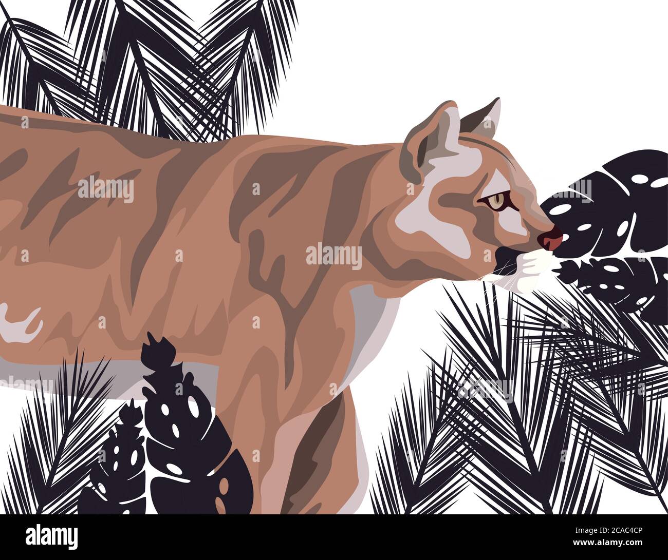 wild cougar in the jungle scene vector illustration design Stock Vector ...
