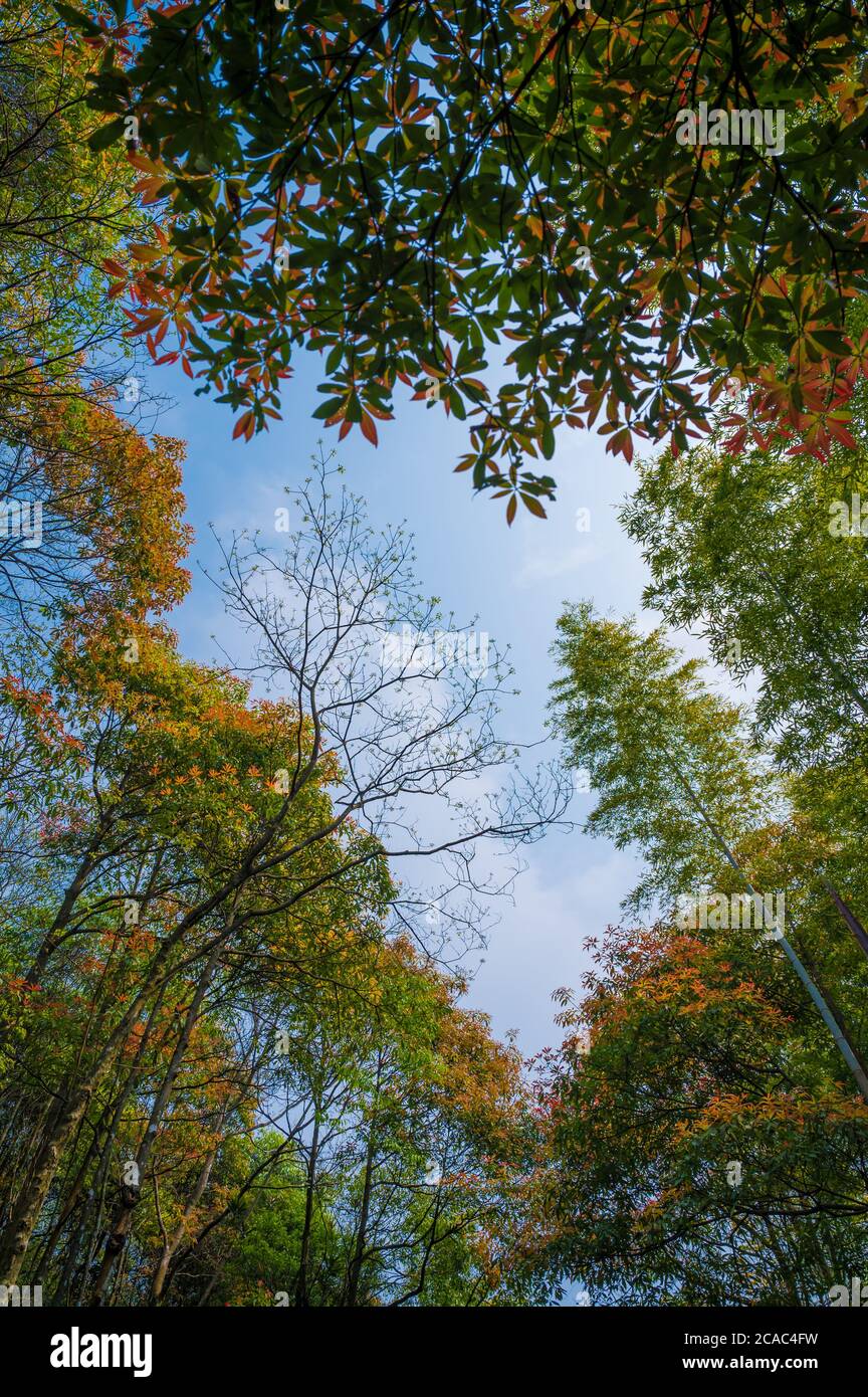 Fresh and comfortable suburban natural environment Stock Photo - Alamy