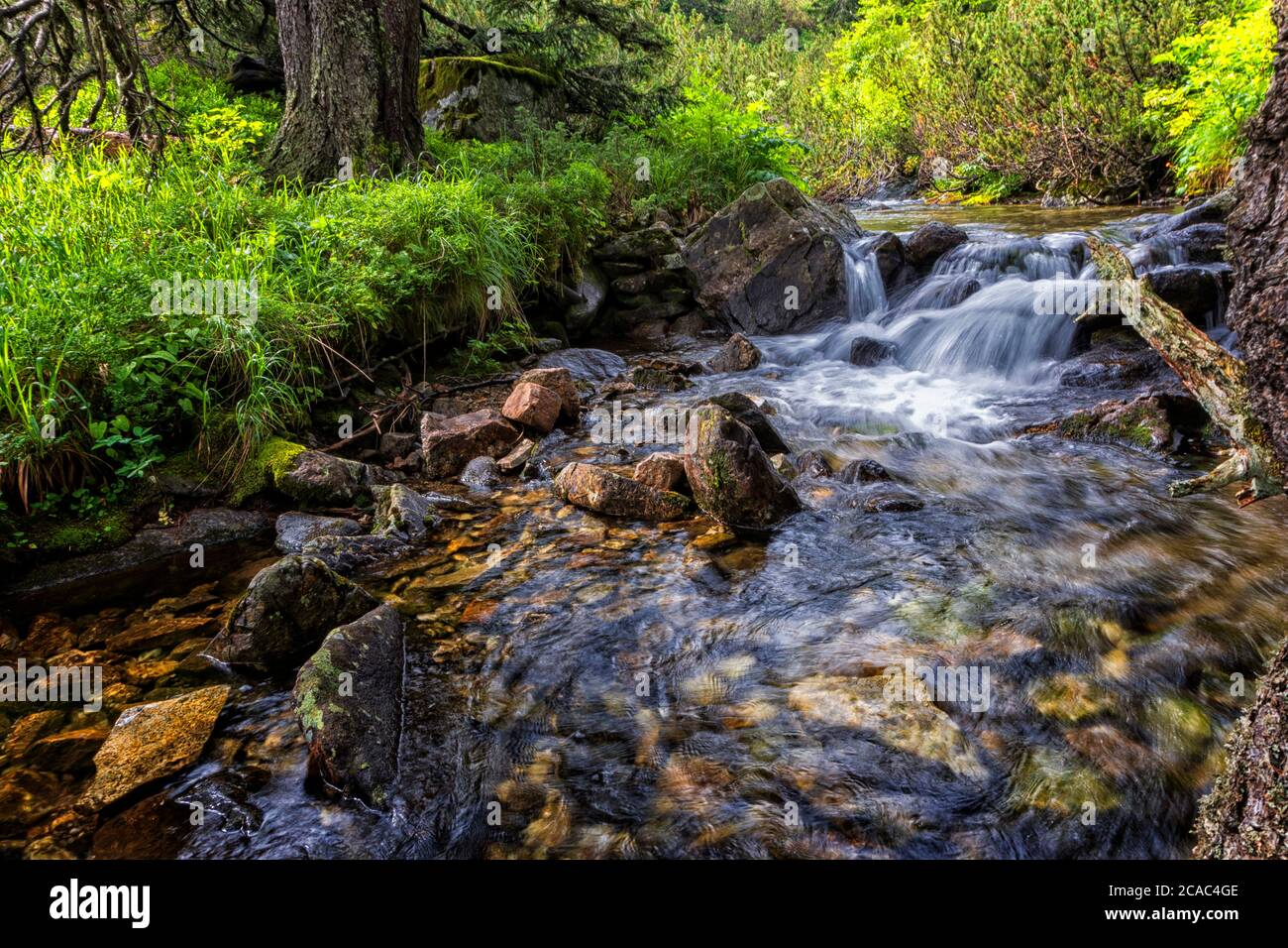 Stream rocks spring hi-res stock photography and images - Alamy