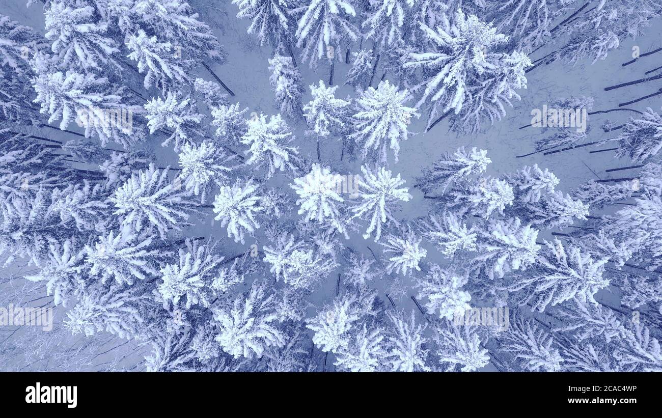 Zoom in shot young happy hi-res stock photography and images - Alamy