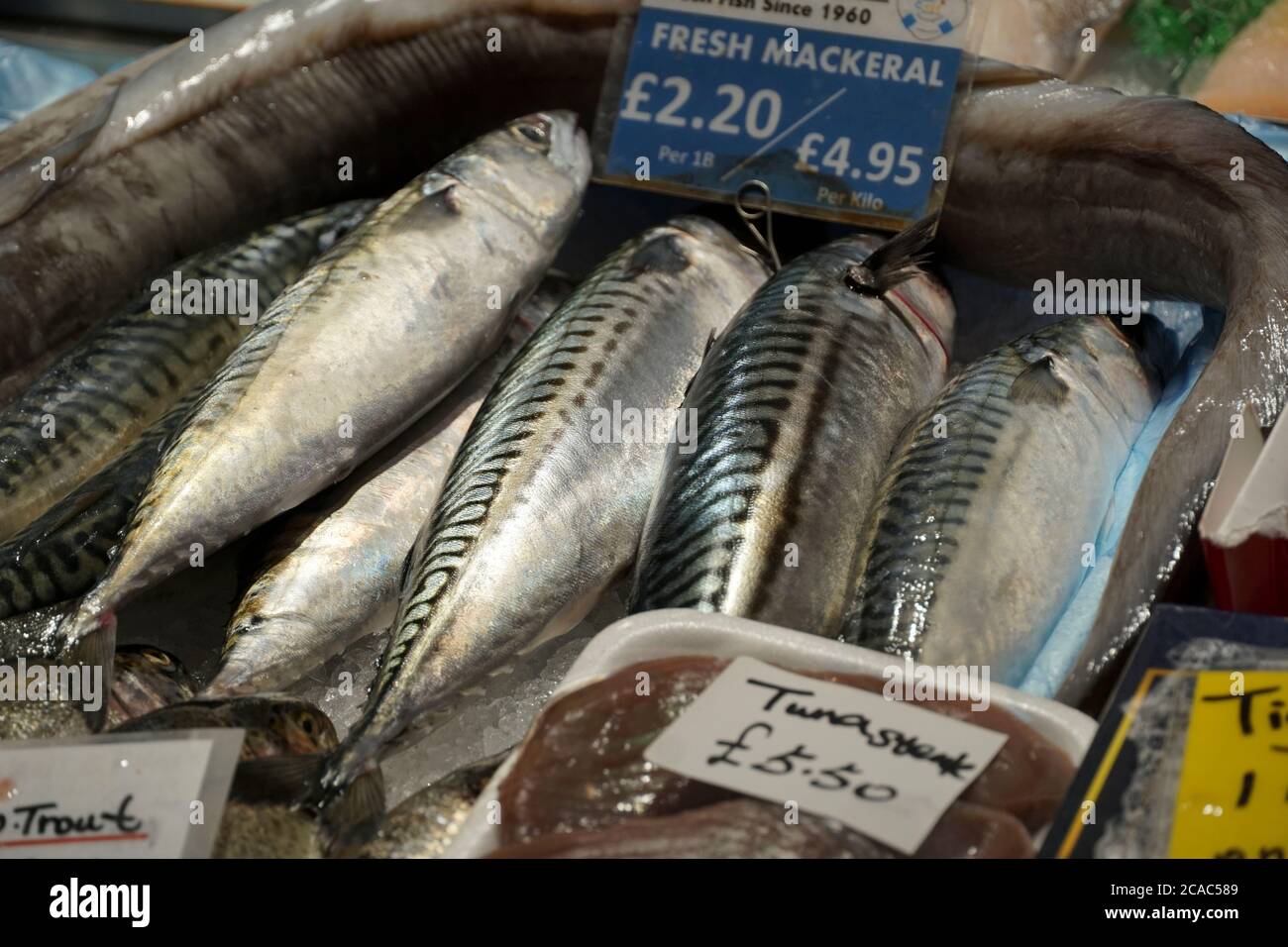 Sheffield inddor market hi-res stock photography and images - Alamy