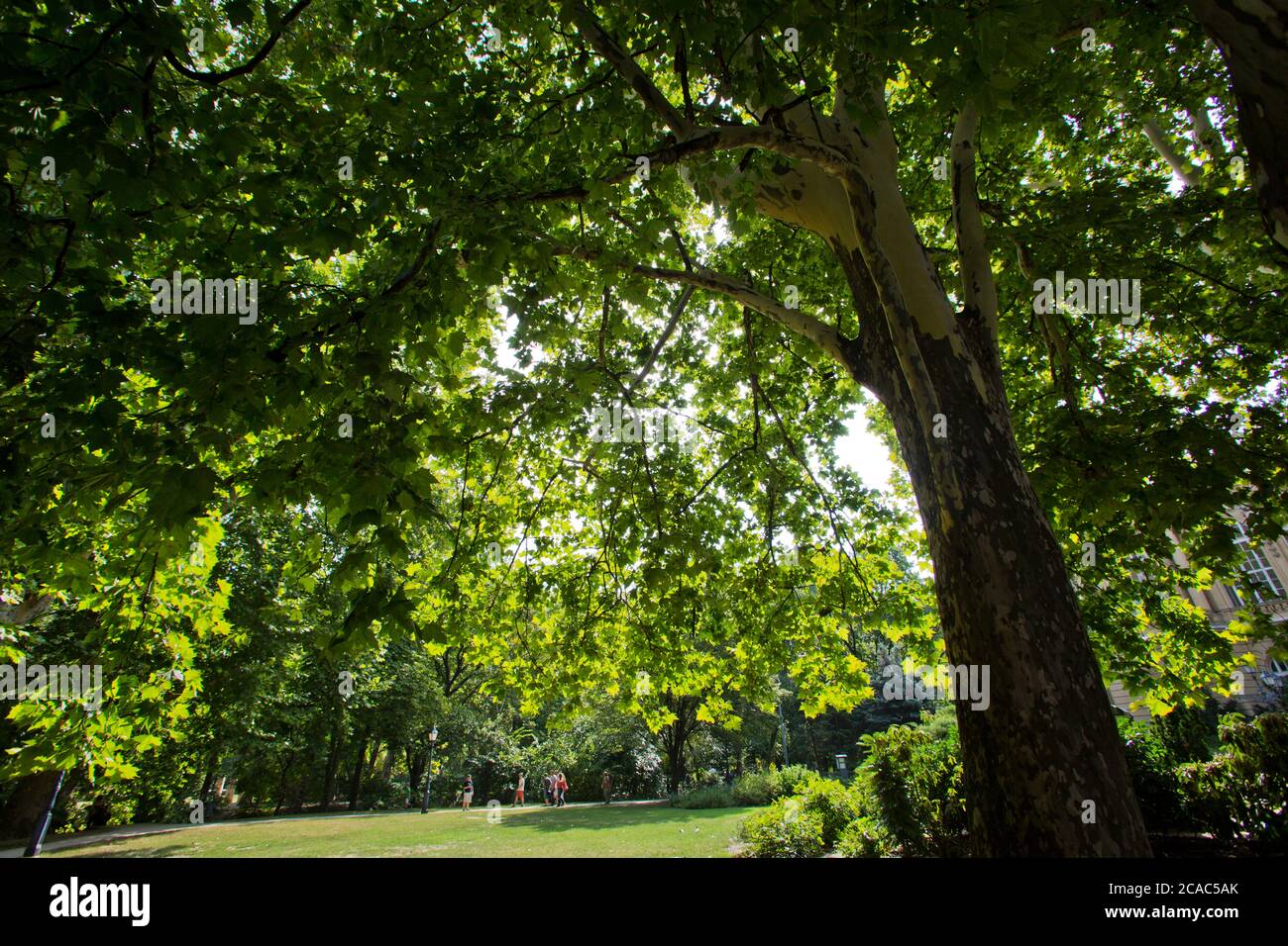 Budapest City Park High Resolution Stock Photography and Images - Alamy
