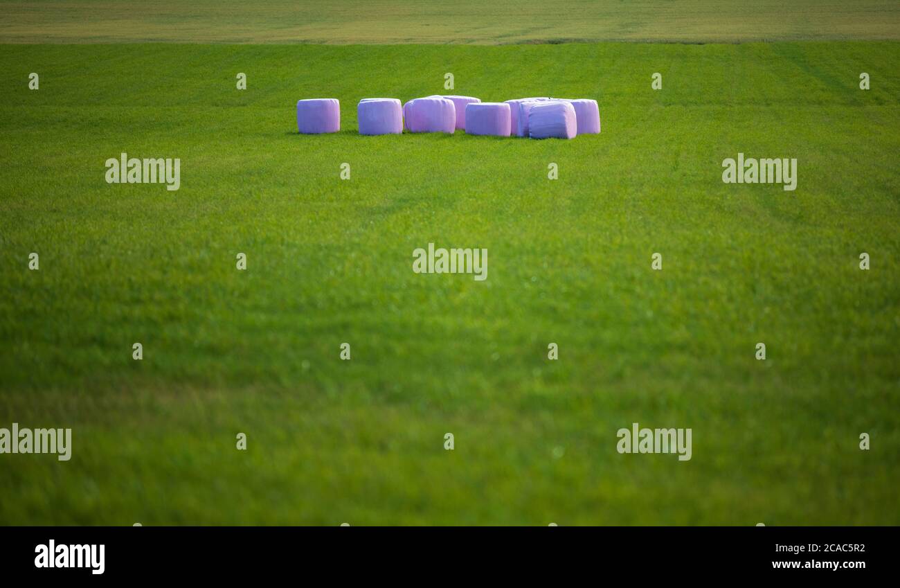Plastic wrapping in agriculture hi-res stock photography and images - Alamy