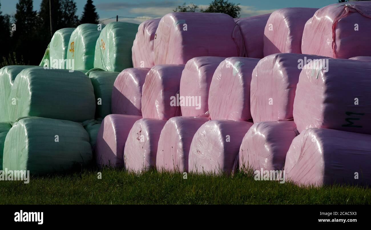 Plastic wrapped hay bale many hi-res stock photography and images - Alamy