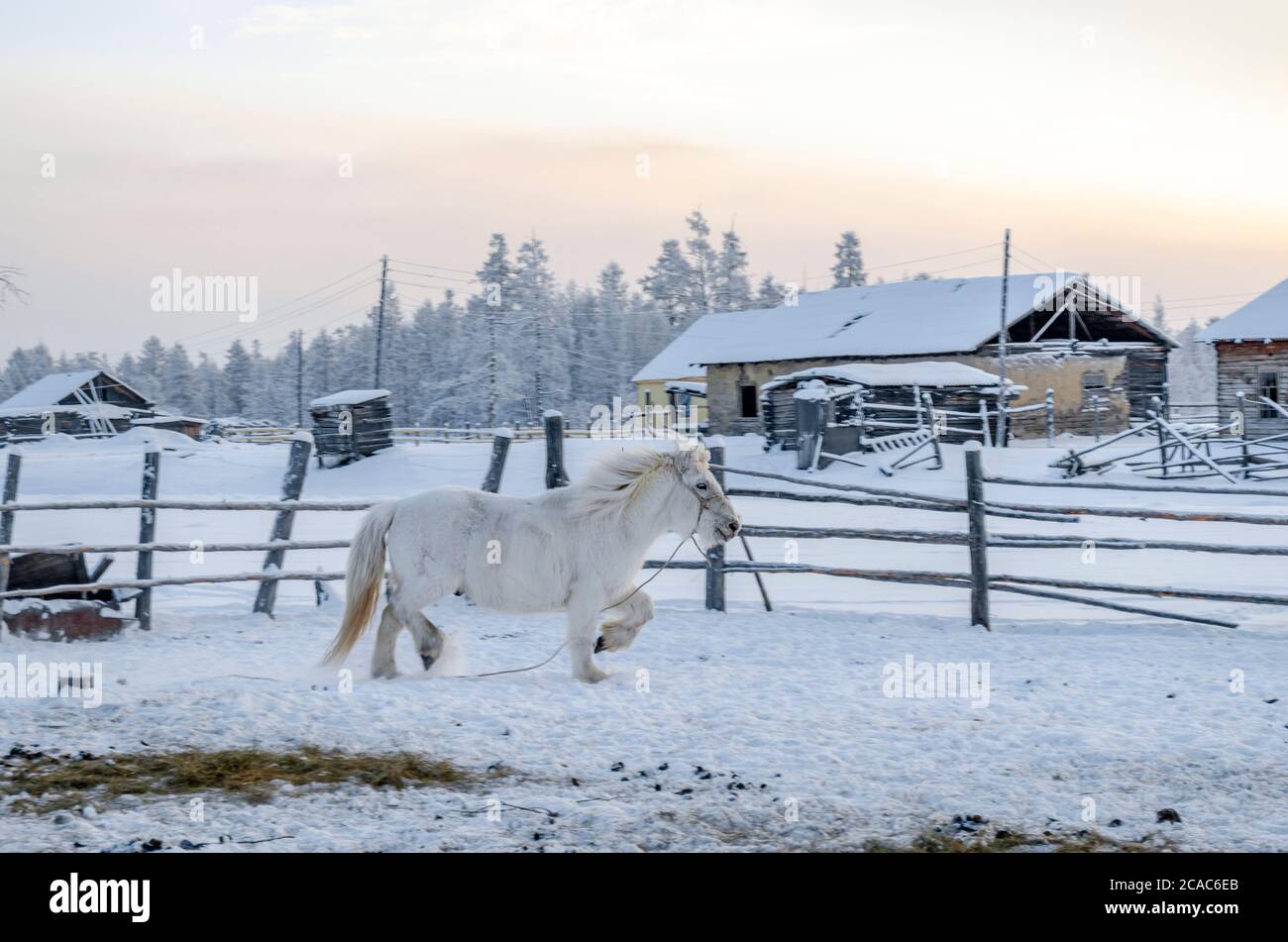 Oymyakon yakutia russia siberia hi-res stock photography and images - Alamy