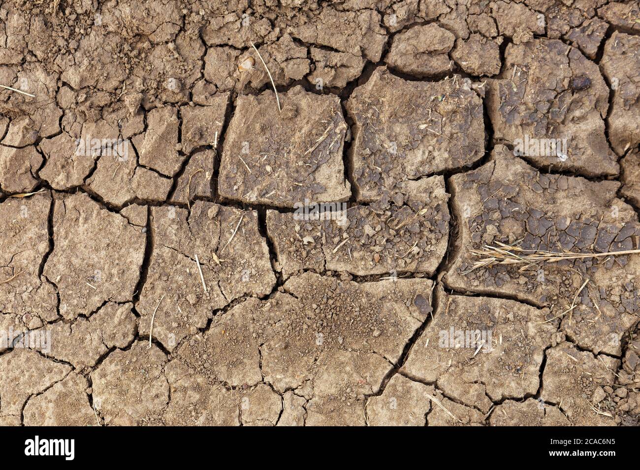 Dry cracked earth. Background and texture of the earth Stock Photo - Alamy
