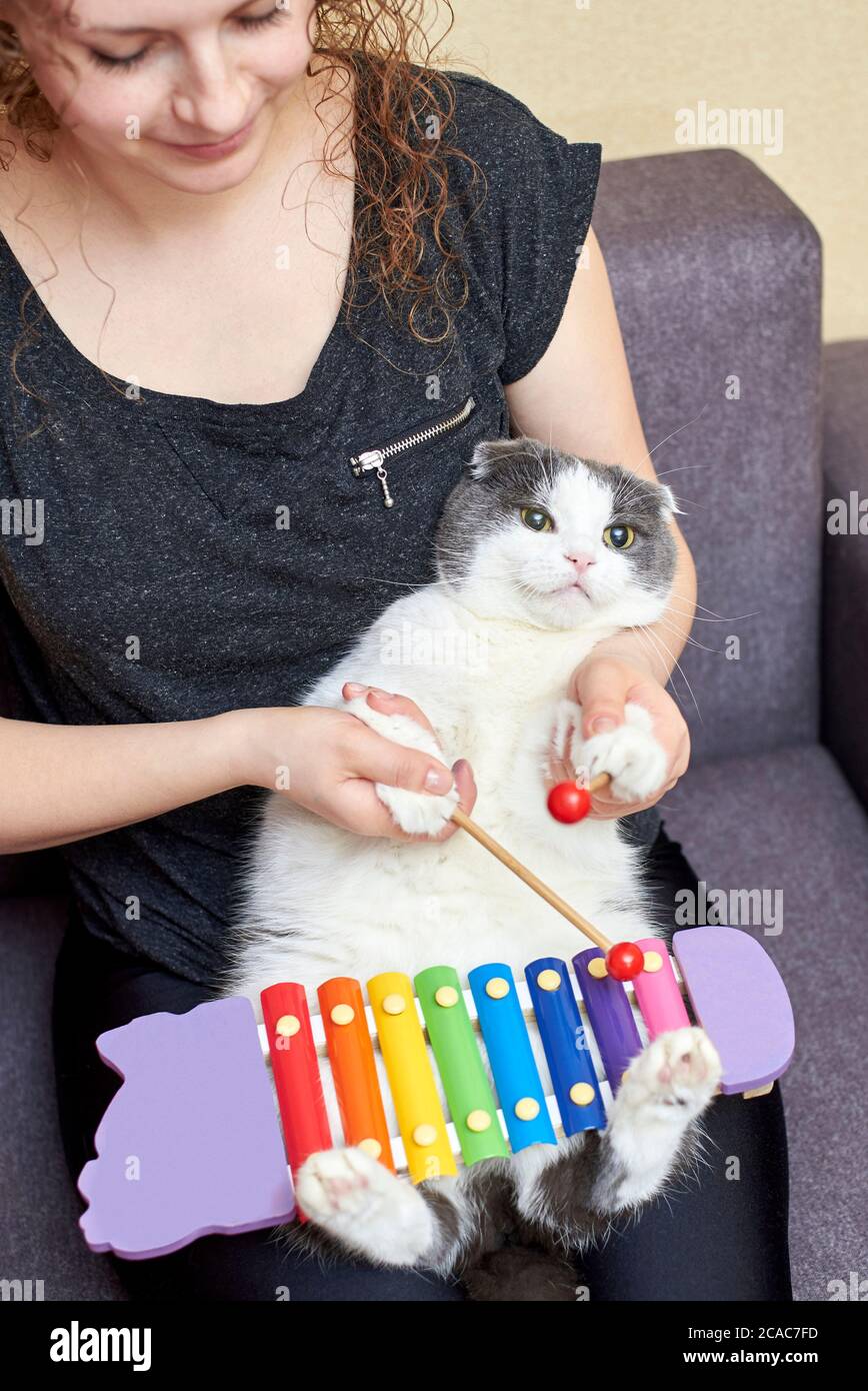 Acoustic Kitty High Resolution Stock Photography and Images - Alamy