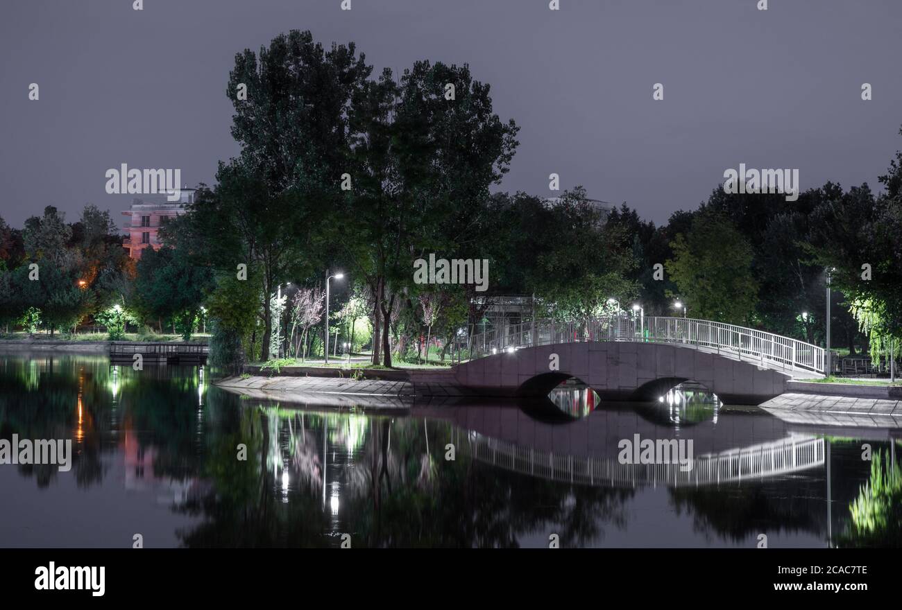 Night view of one of the illuminated bridges in Bordei Park in ...