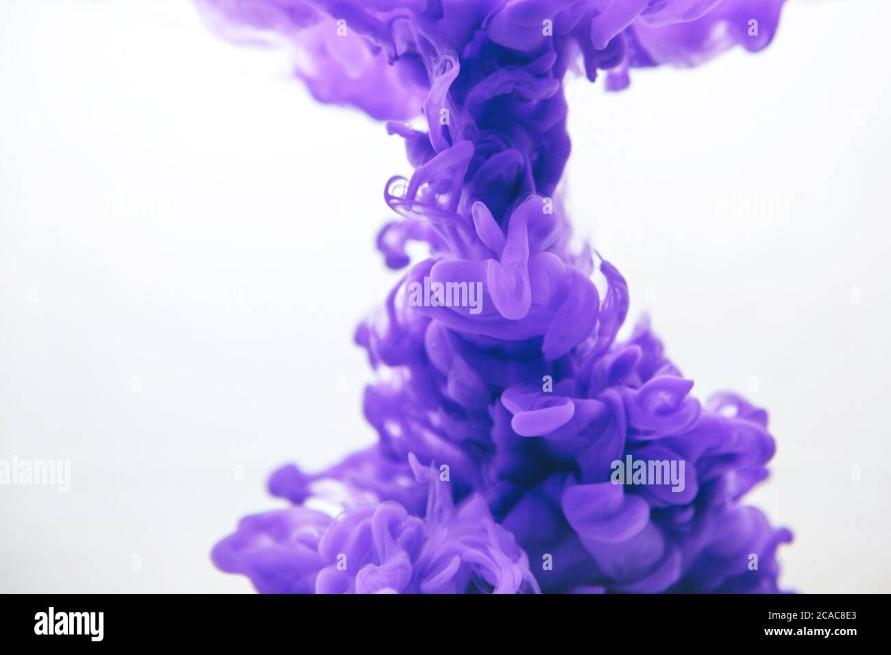Purple color ink in water on a white background Stock Photo - Alamy
