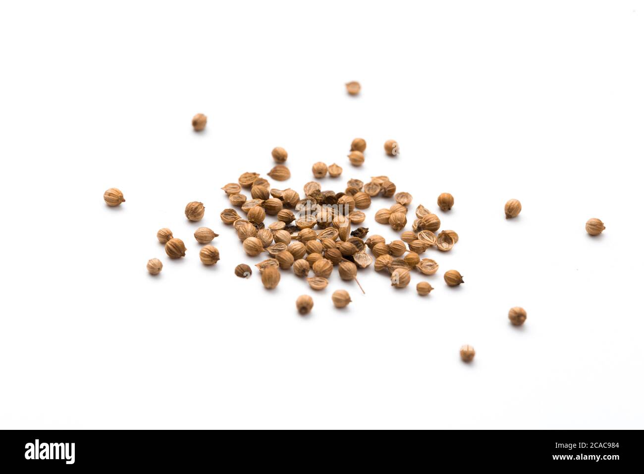 Heap of raw, unprocessed organic coriander or cilantro seeds on white ...