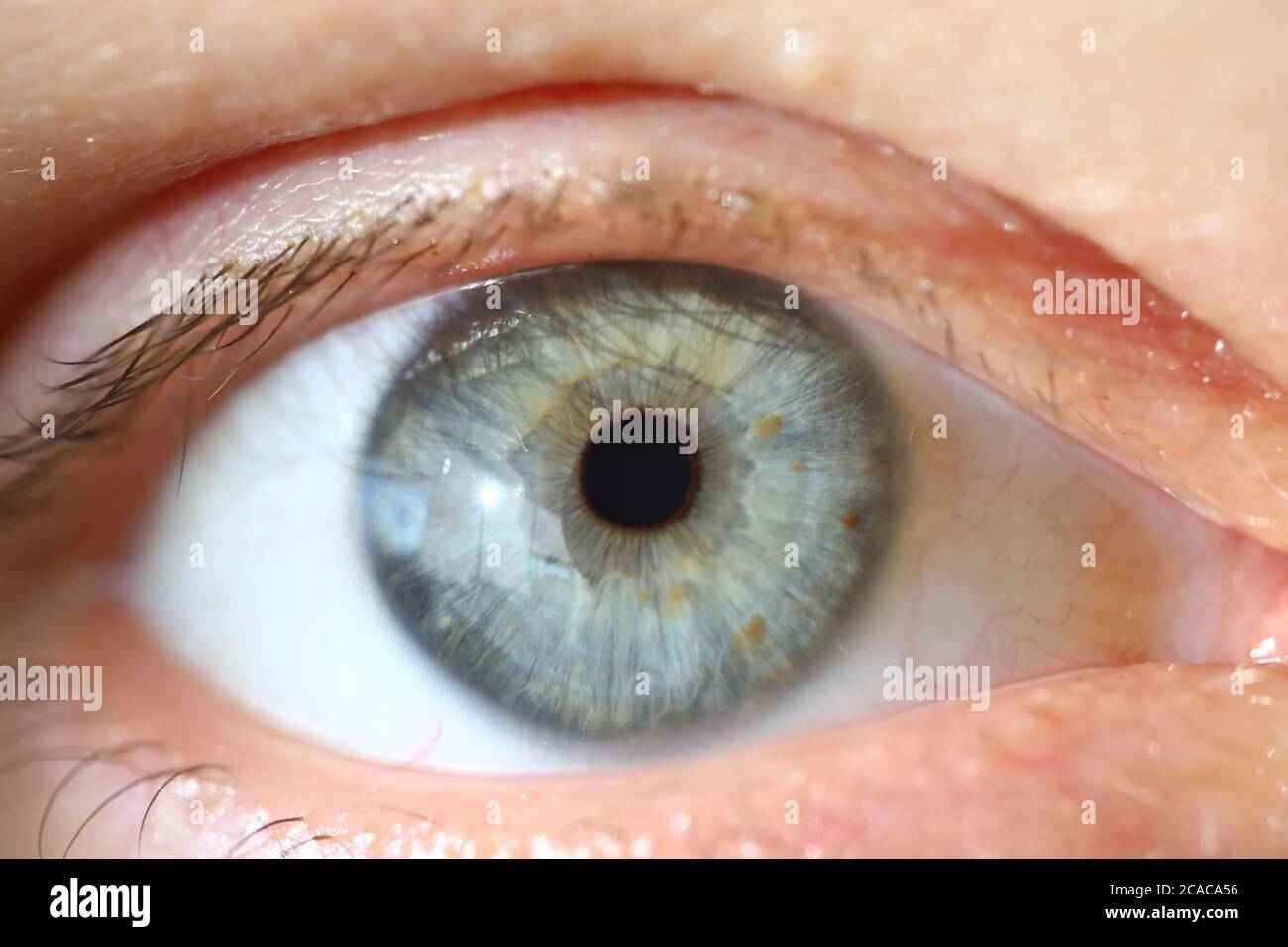 Nonverbal expression hi-res stock photography and images - Alamy