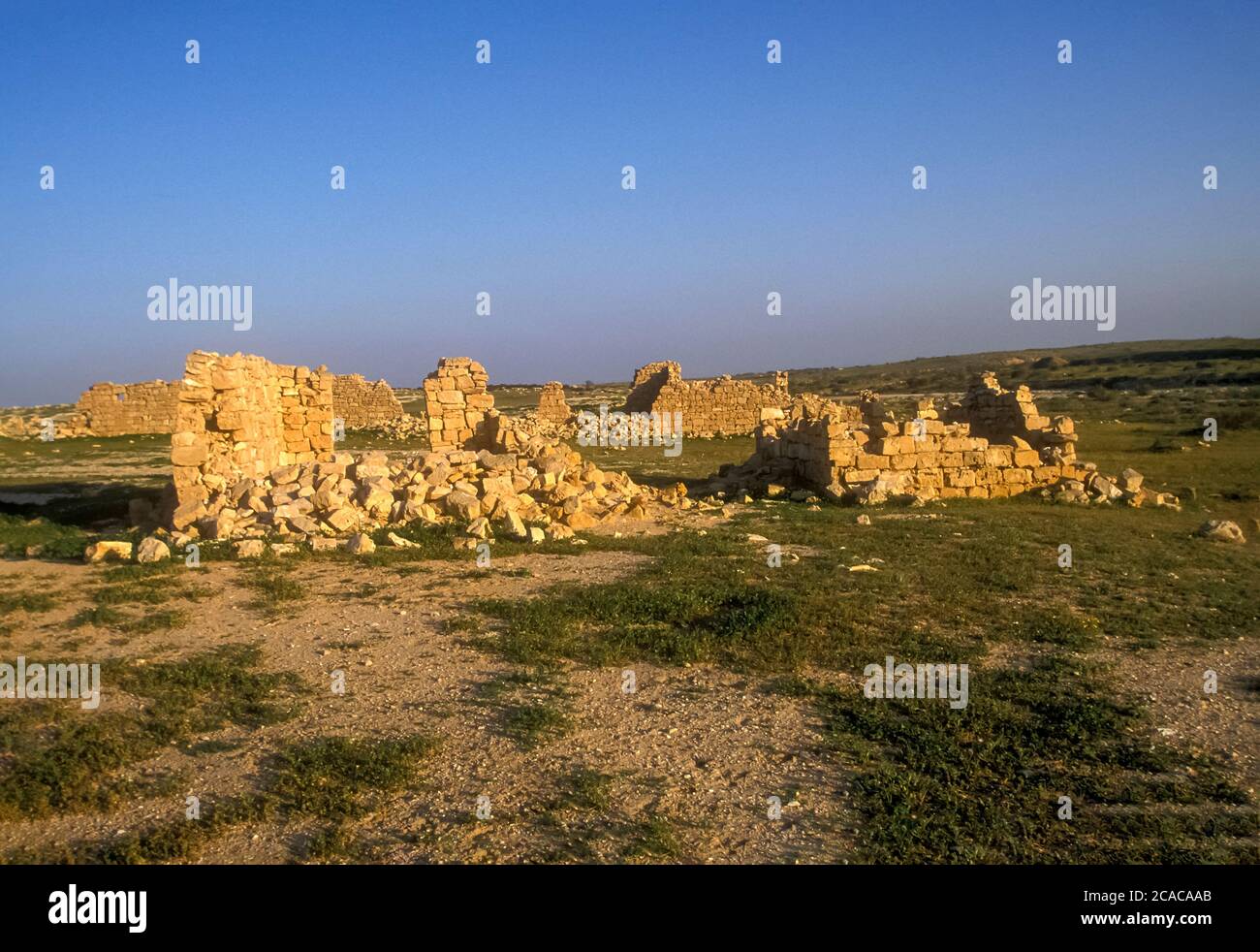 The ruins of Haluza also known as Al-Khalasa, Halasa, Chellous, Elusa ...