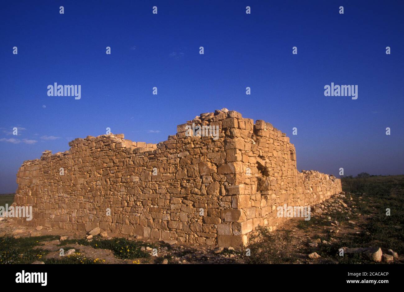 The ruins of Haluza also known as Al-Khalasa, Halasa, Chellous, Elusa ...