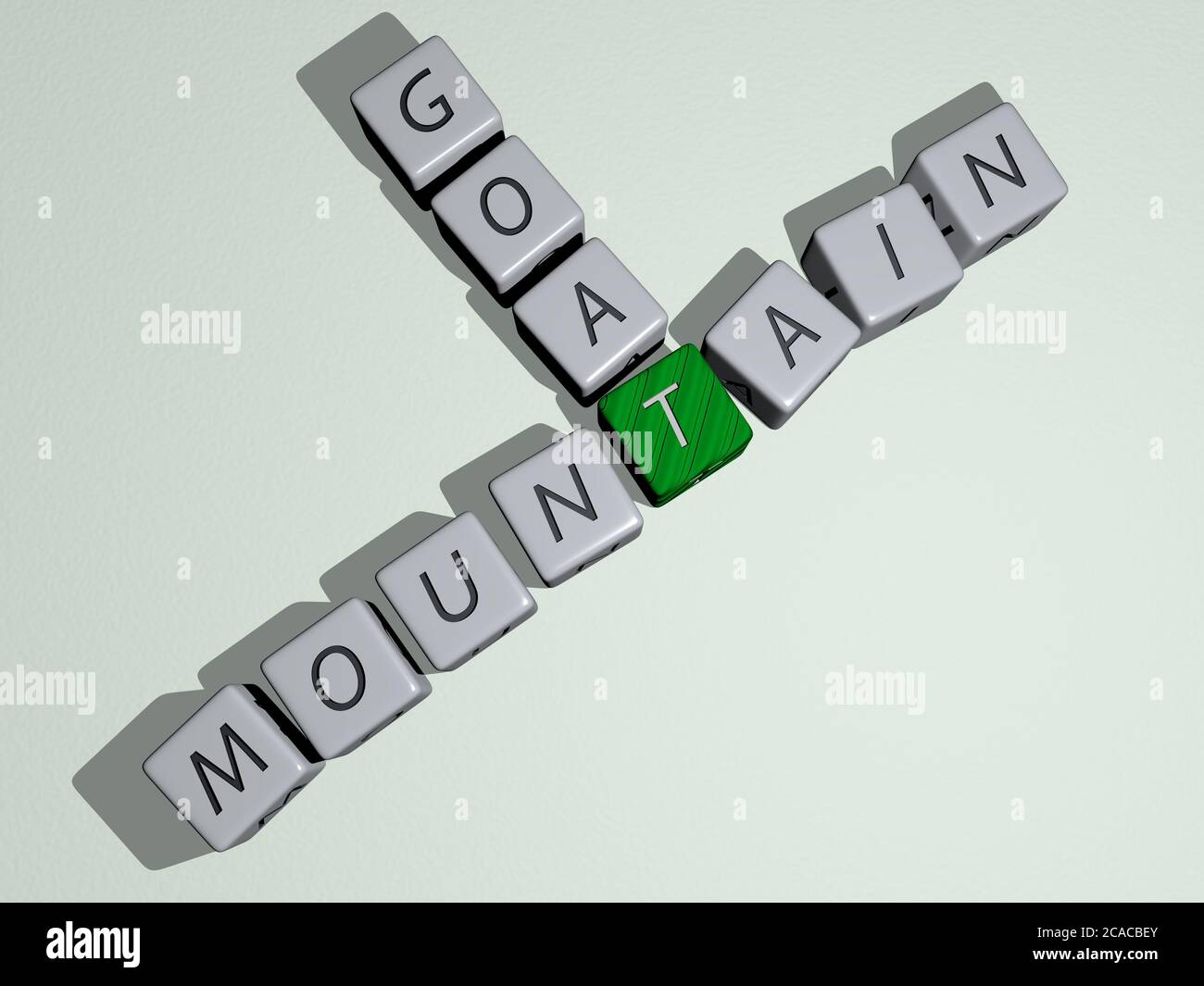 crosswords of MOUNTAIN GOAT arranged by cubic letters on a mirror floor ...