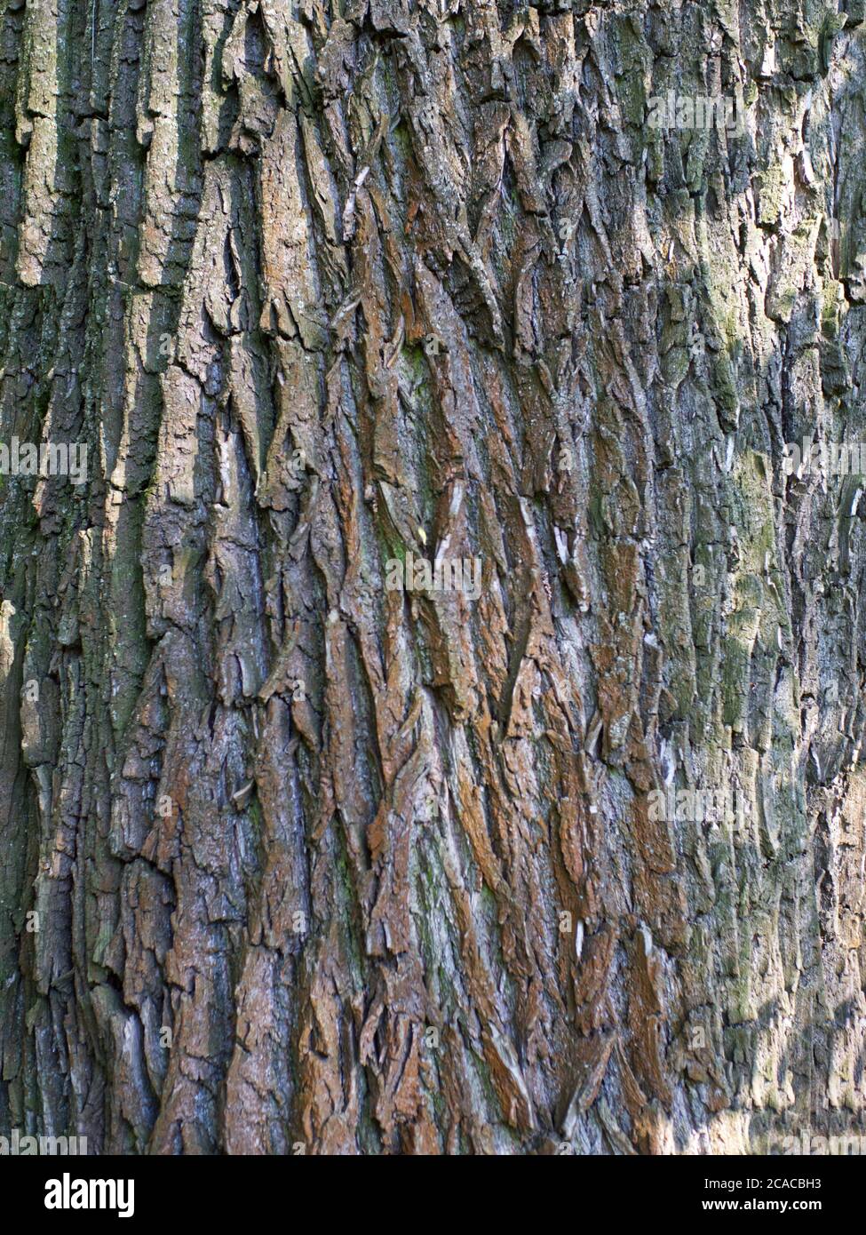 Parallel lines of wooden stair treads Stock Photo - Alamy