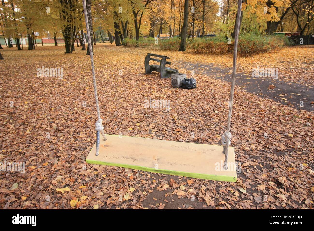 Rope swings in the park in fall Stock Photo - Alamy