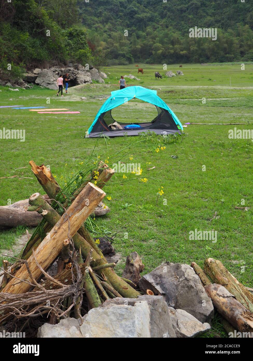 Campfire ready and tent set up in grassy field Stock Photo - Alamy