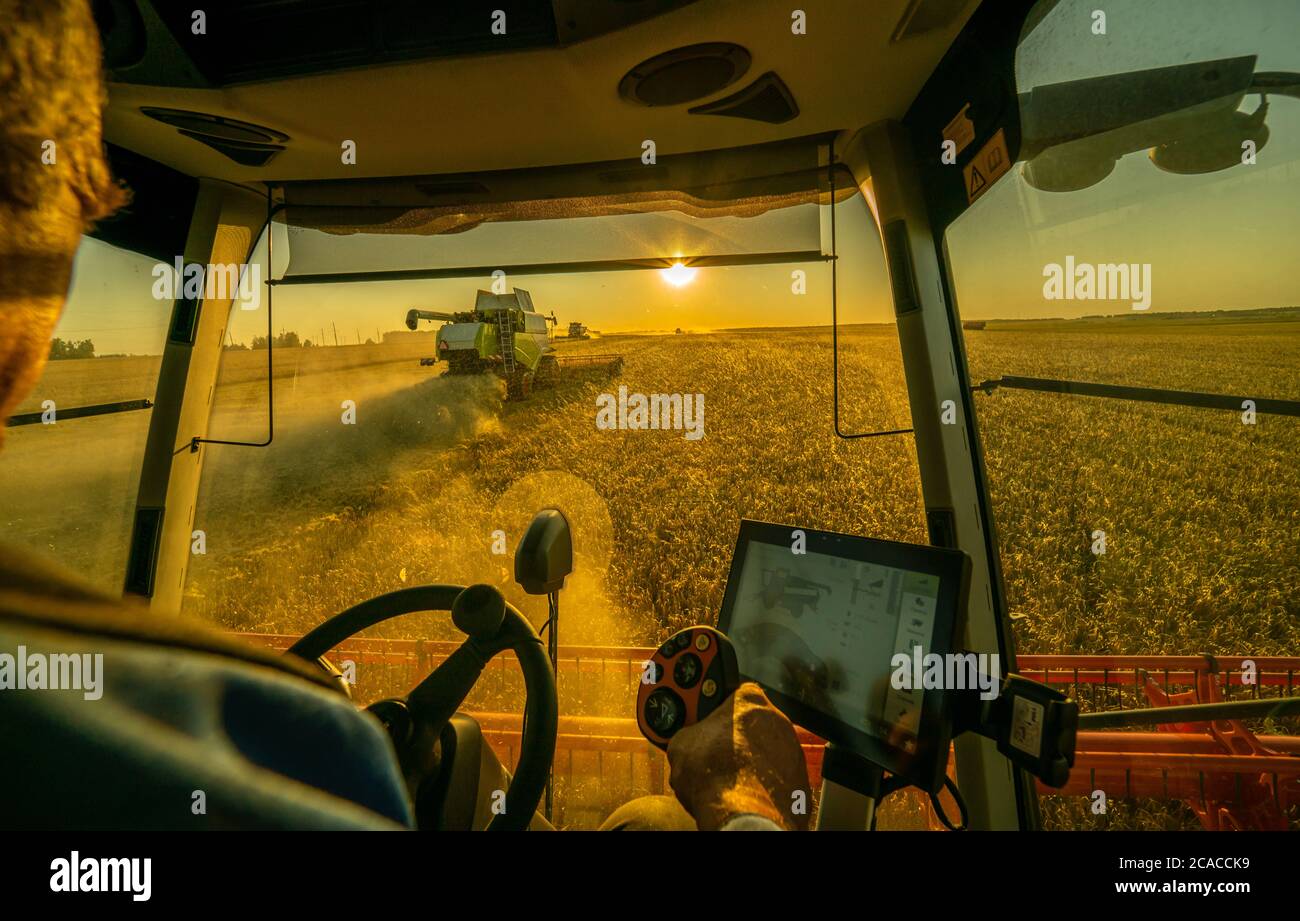 the machine operator at the helm of a modern combine harvester harvests ...