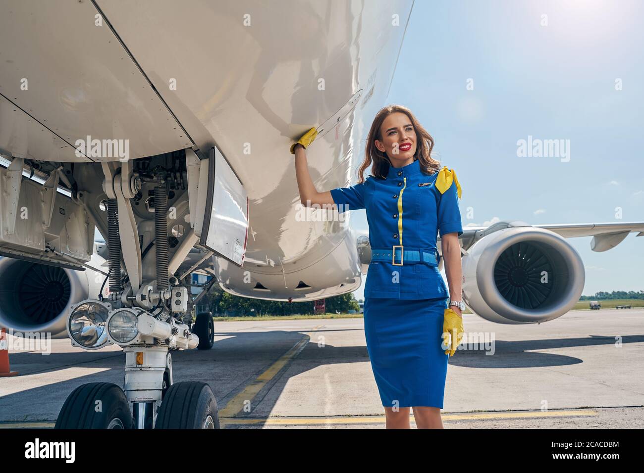 Contented female flight attendant staring into the distance Stock Photo ...