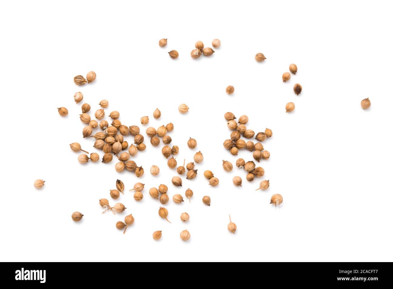 Heap of raw, unprocessed organic coriander or cilantro seeds on white ...