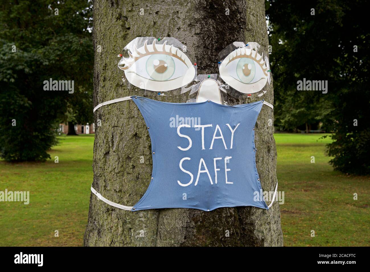 Stay safe slogan on face-mask, on trunk of tree, England UK Stock Photo ...