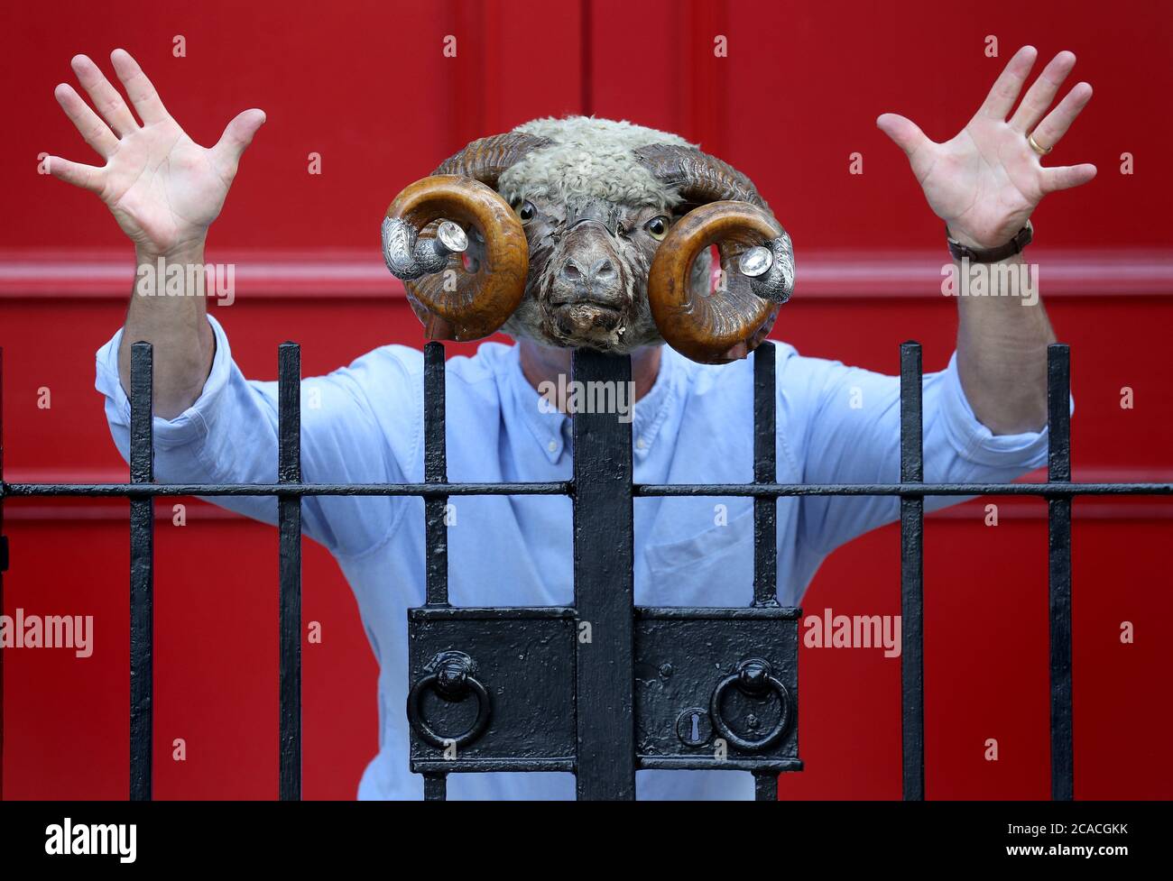 Rams head hi-res stock photography and images - Alamy