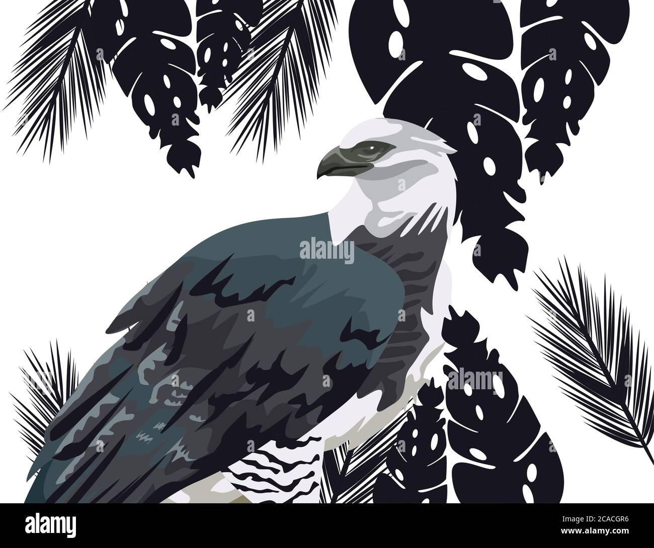 beautifull wild eagle in the landscape scene vector illustration design ...