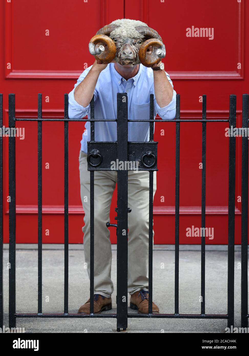 Philip Gregory with a rams head from the 19th century with an estimated ...