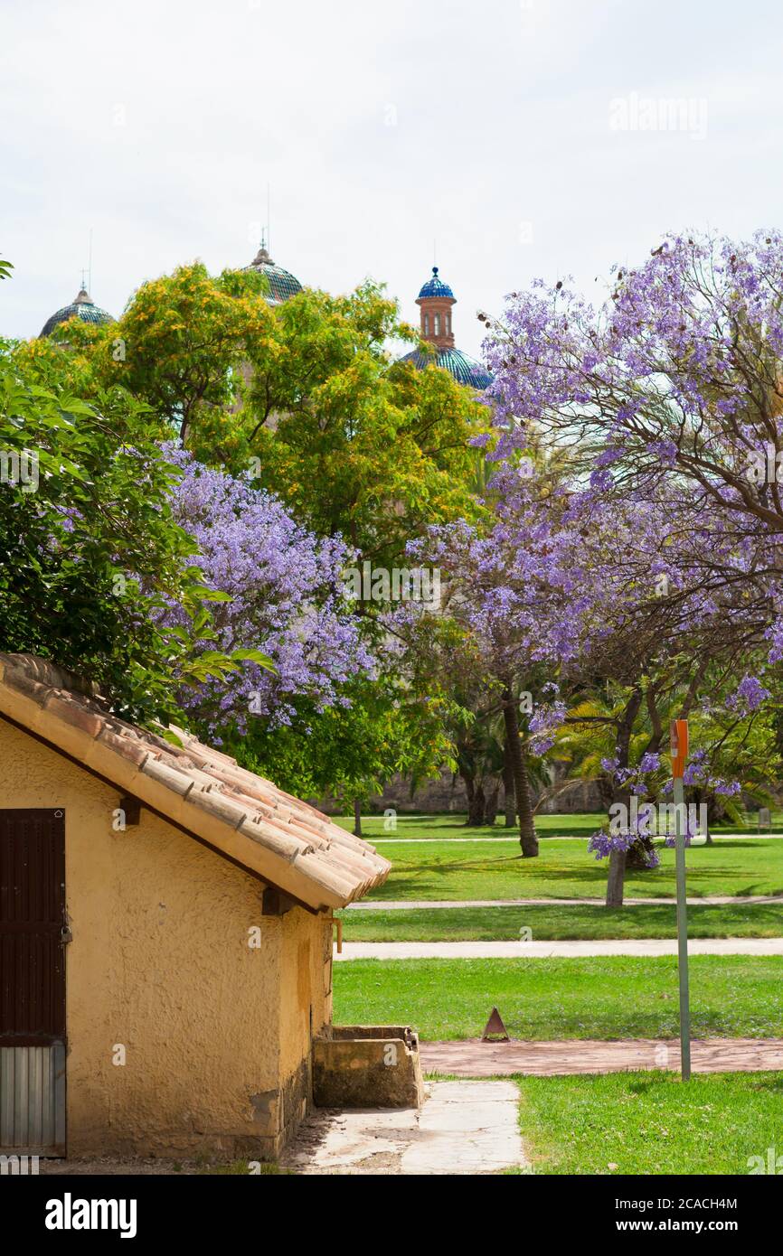 Turia natural park hi-res stock photography and images - Alamy