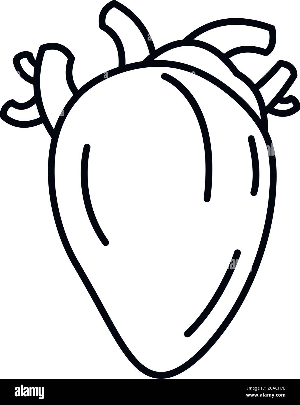 Biology human heart icon. Outline biology human heart vector icon for ...