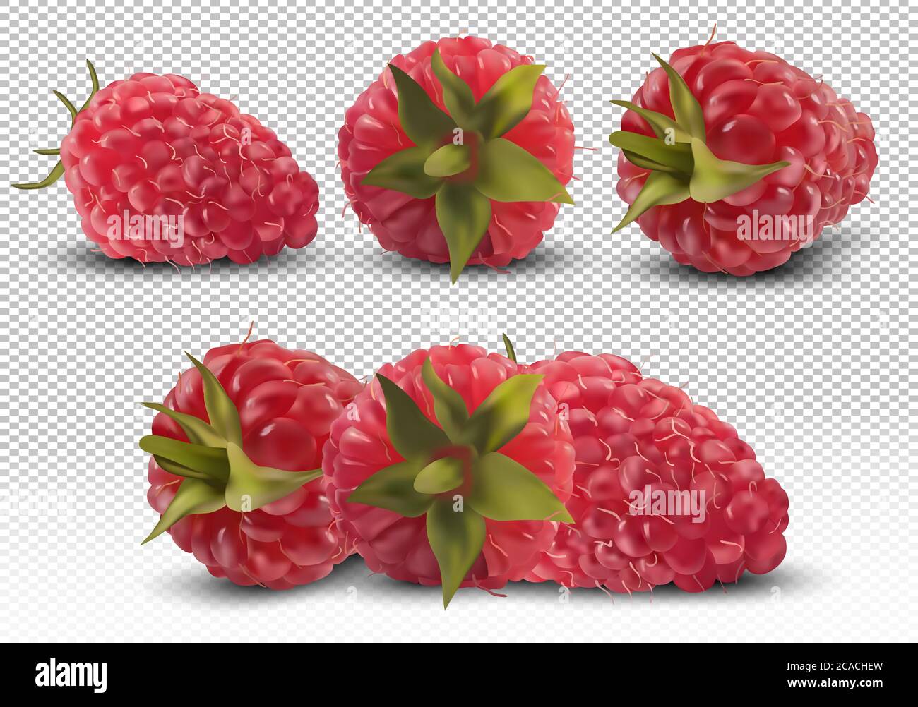 Set of raspberry from different angles on transparent background ...