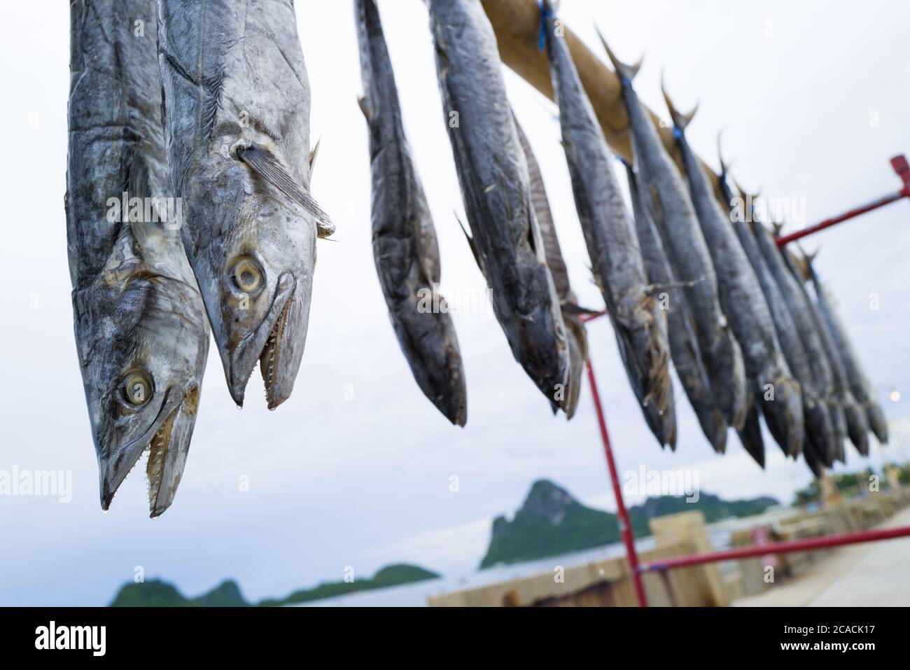 sun dried hanging fish Stock Photo - Alamy