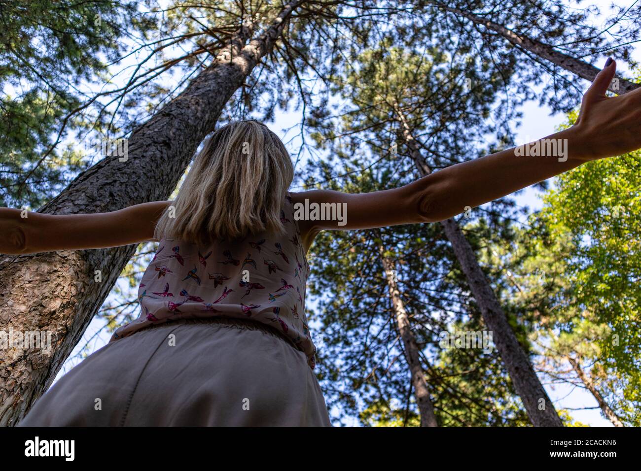 Woman arms raised enjoying the fresh air in green pine tree forest on a ...