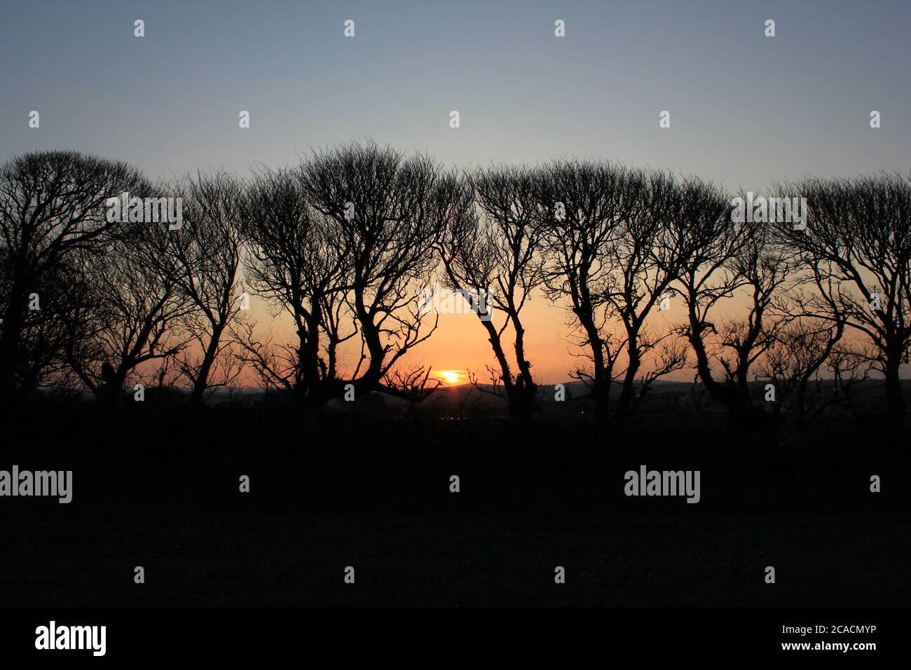 Sunset through hedgerow hi-res stock photography and images - Alamy