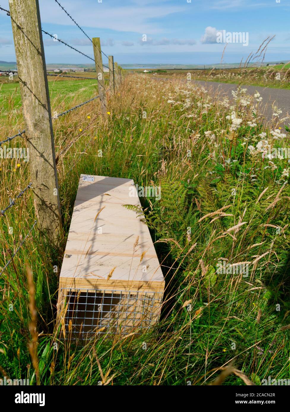 Stoat trap on Orkney Mainland Stock Photo - Alamy