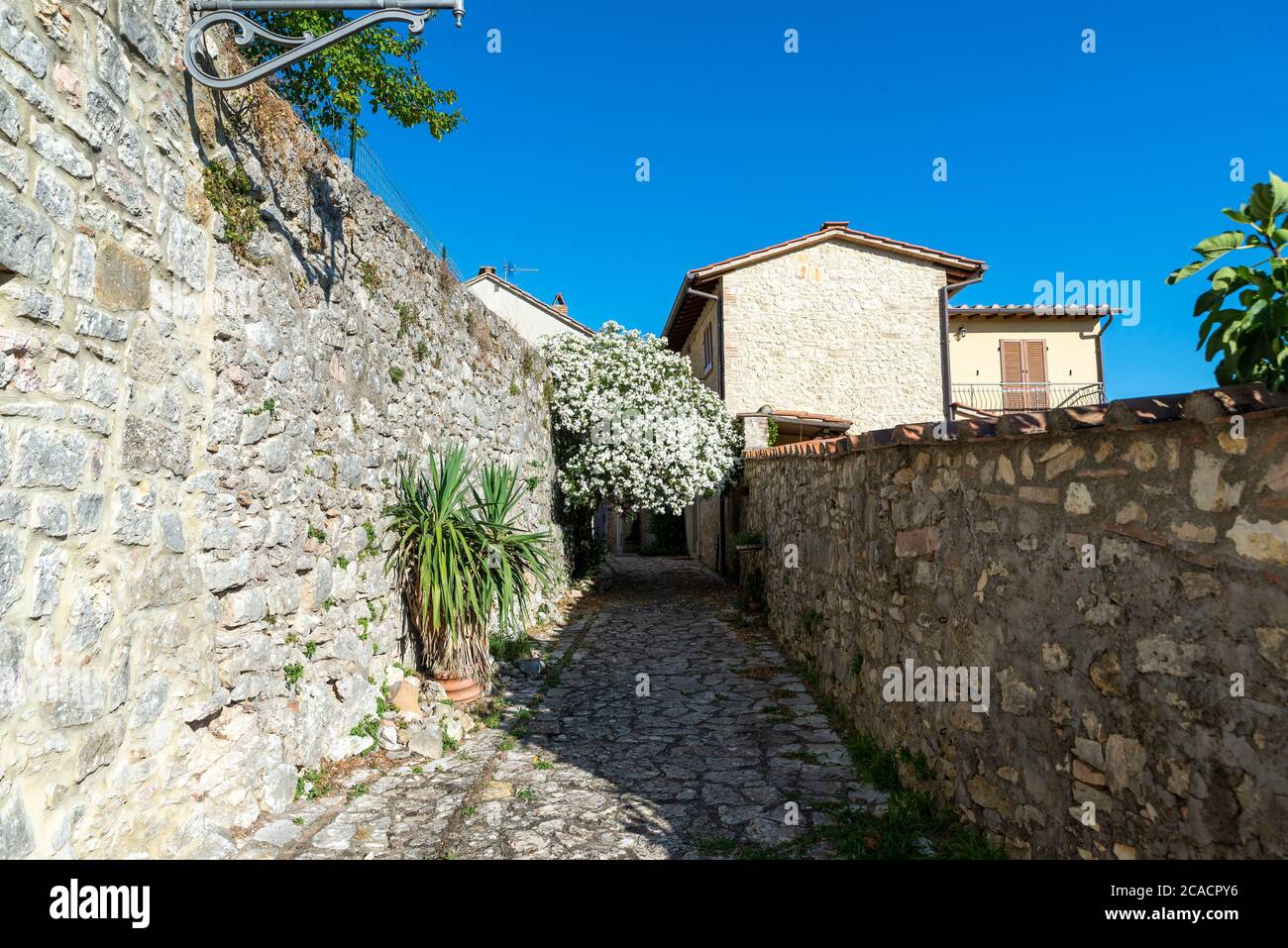 Amelia italy august 05 hi-res stock photography and images - Alamy