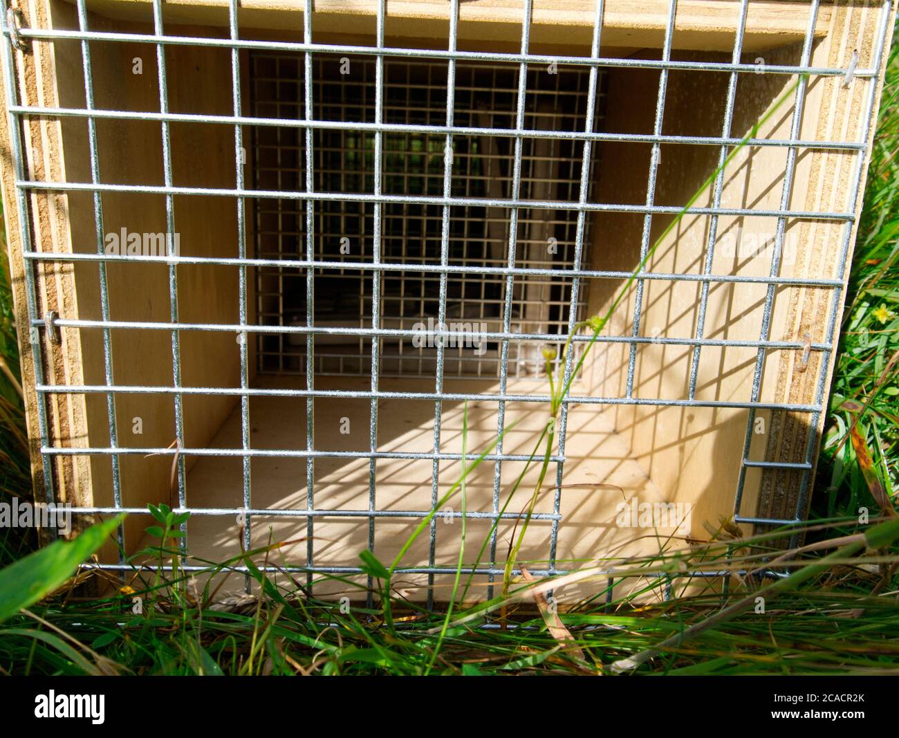 Stoat trap on Orkney Mainland Stock Photo - Alamy