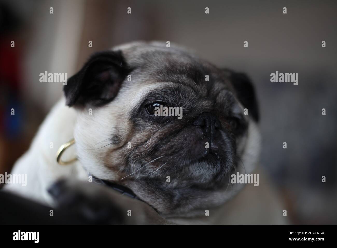 Female adorable hi-res stock photography and images - Alamy