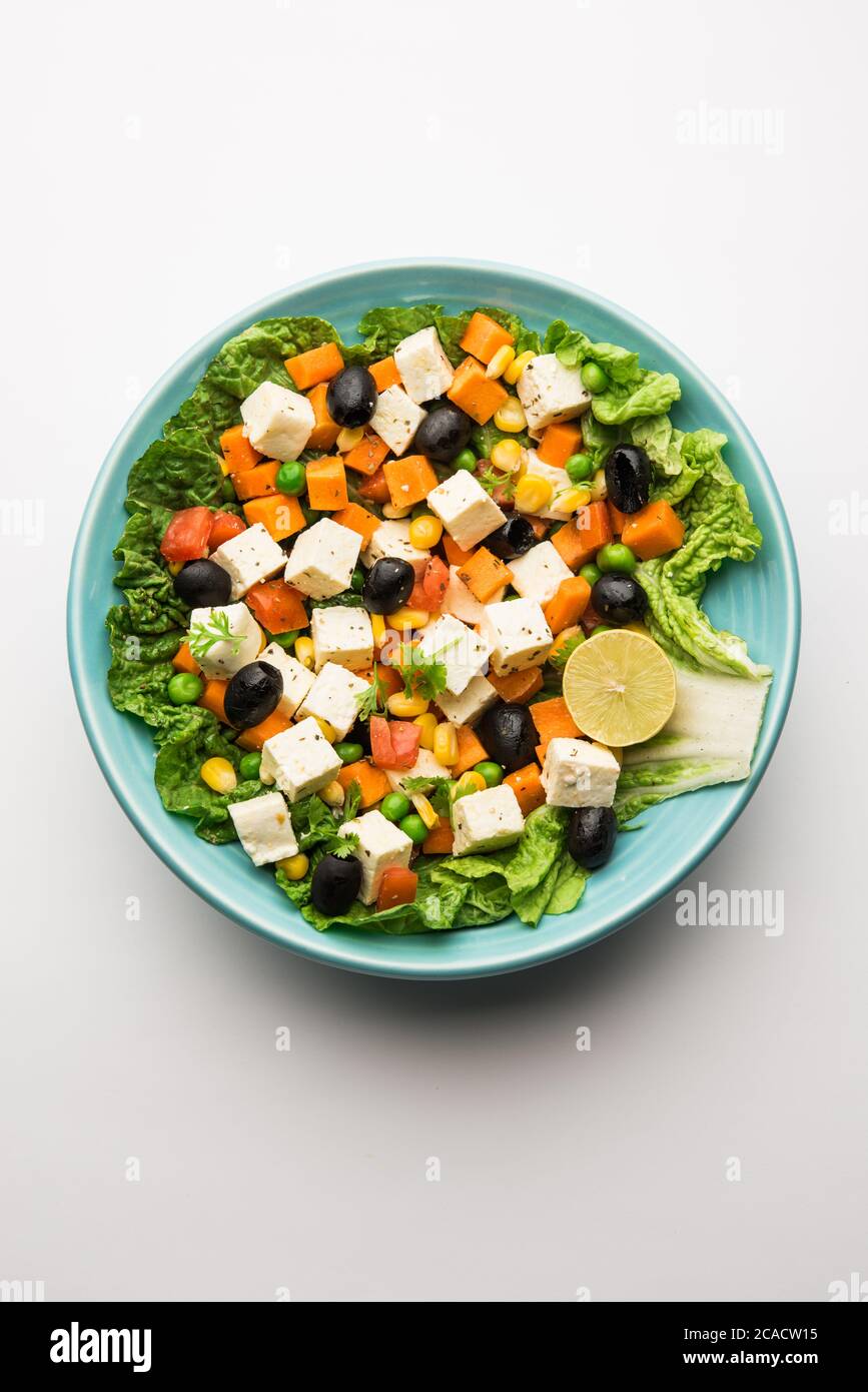 Paneer Vegetable Salad Recipe is a low carb diet food from India using ...