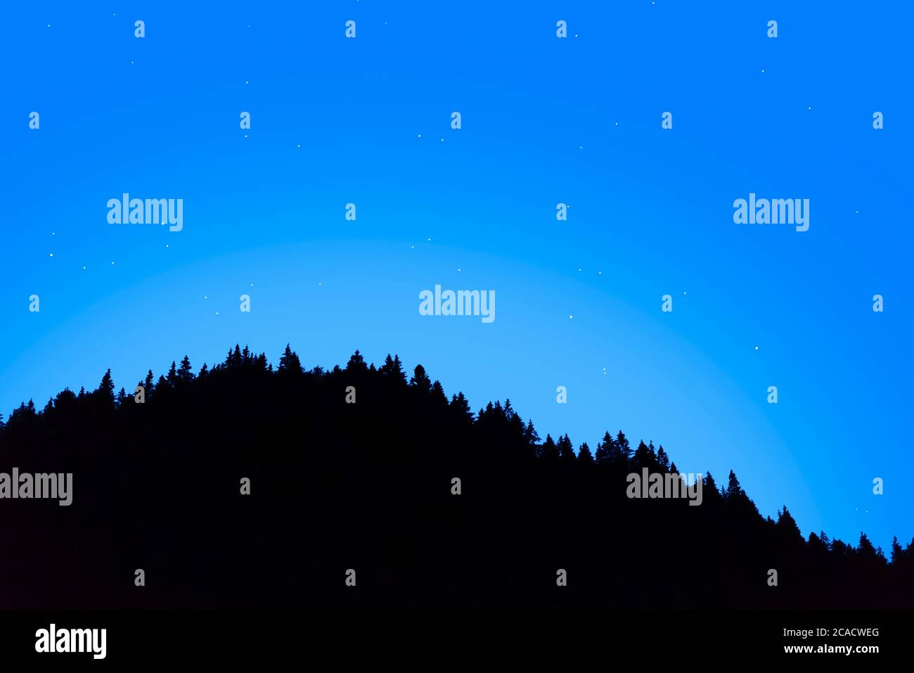 Night sky against the tops of spruce trees Stock Photo - Alamy