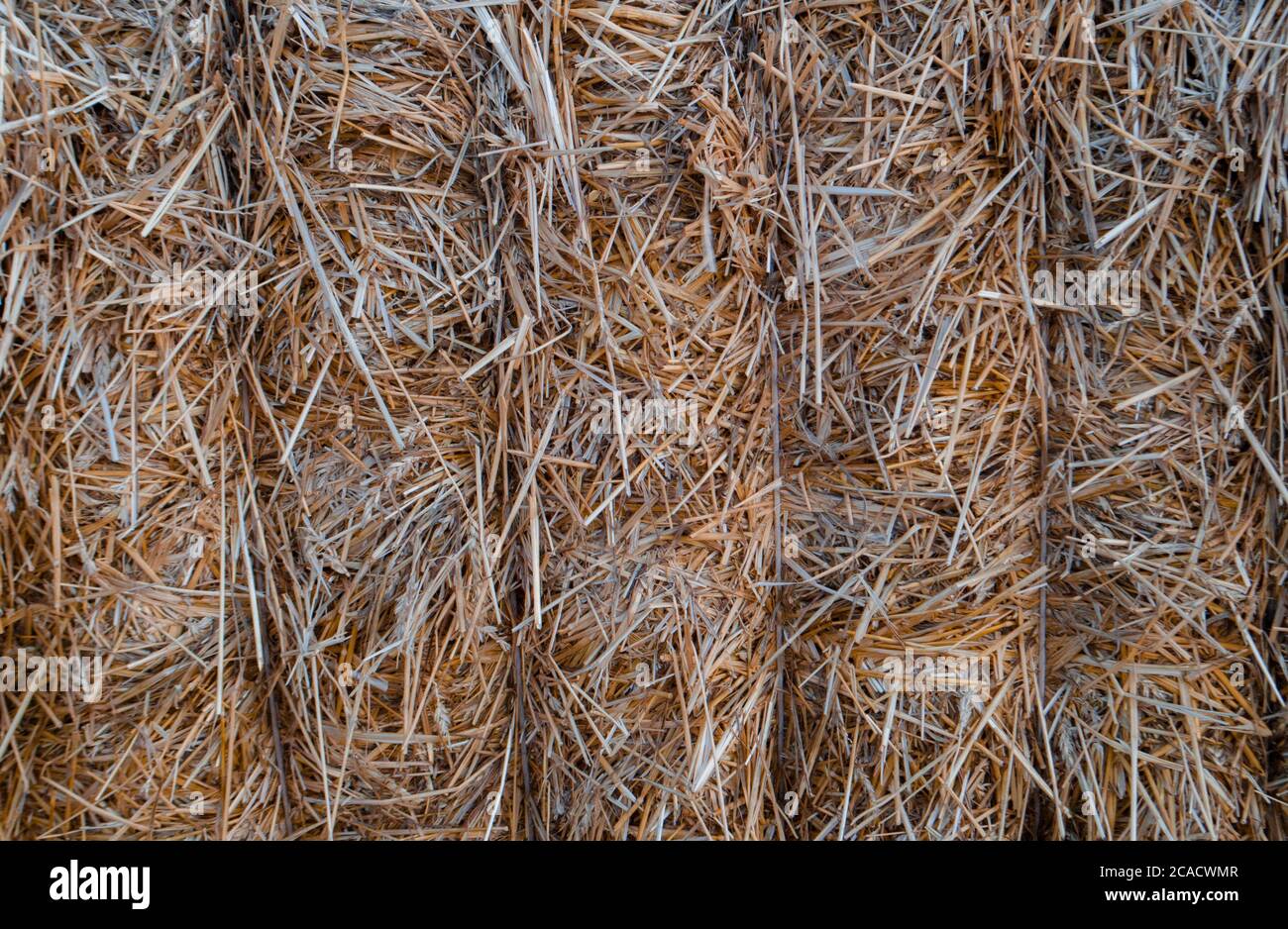 dry straw close-up for background and desktop wallpaper Stock Photo - Alamy