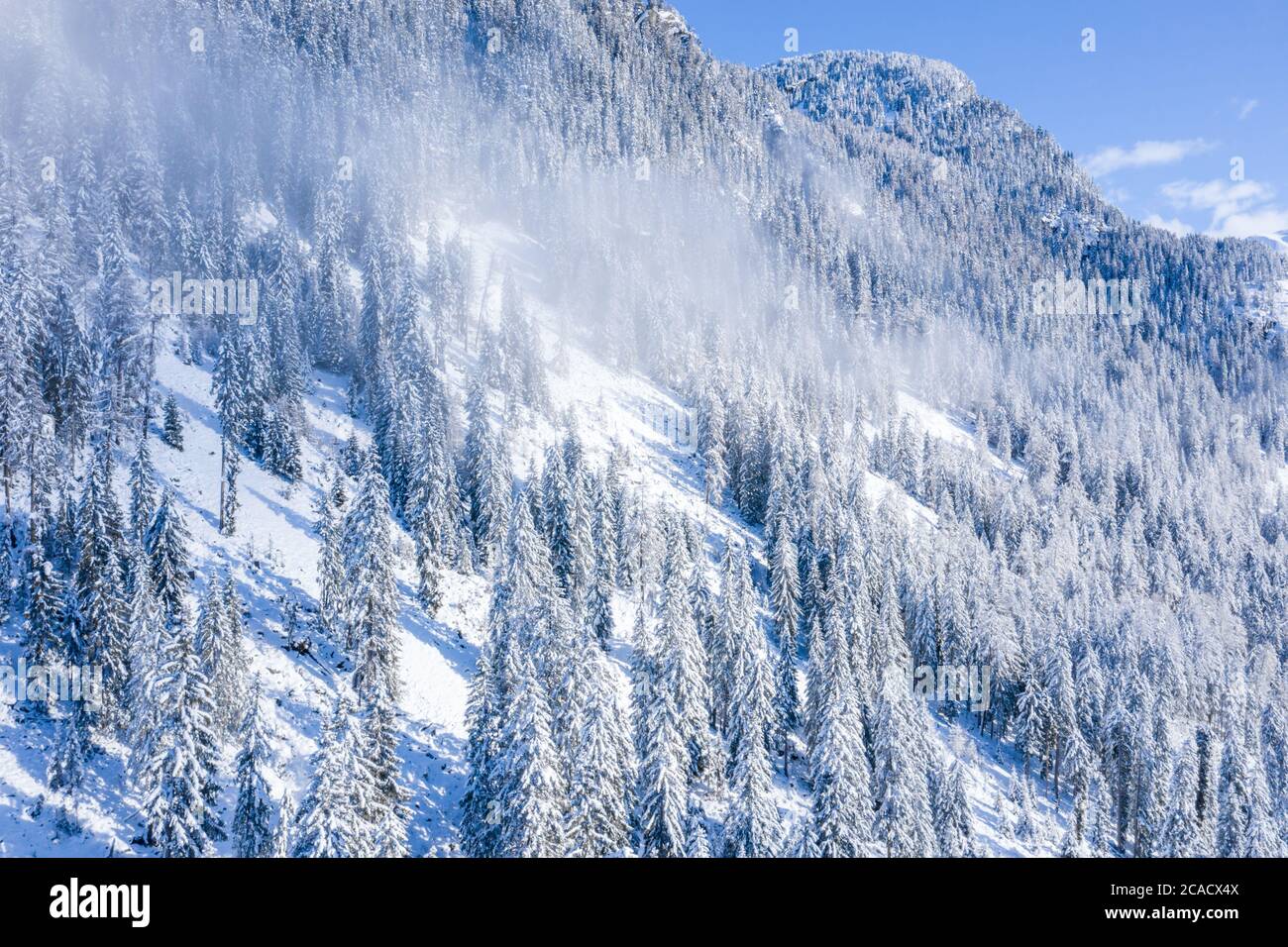 Mesmerizing view of beautiful snow-capped trees Stock Photo - Alamy