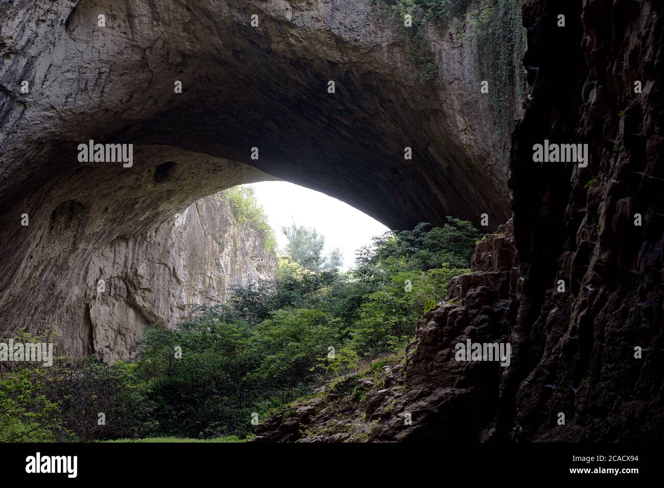 perspective view of the Devetaki cave in Bulgaria with green forest ...
