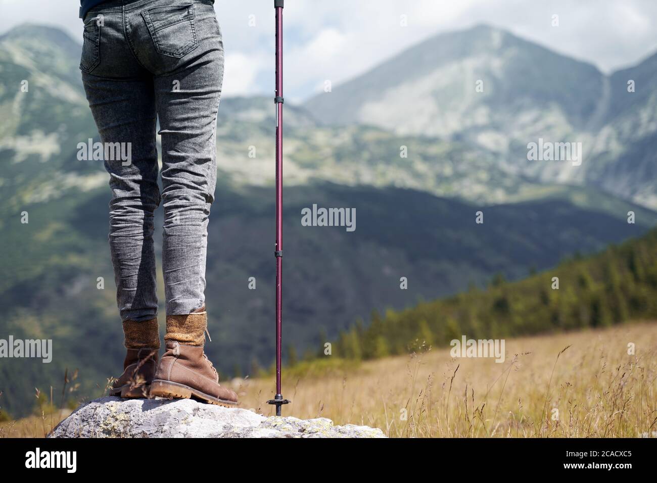rear view of a Caucasian woman with hiking stick standing on a large ...