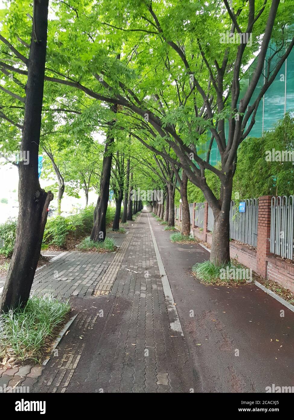 Normal look of street in Korea Stock Photo - Alamy