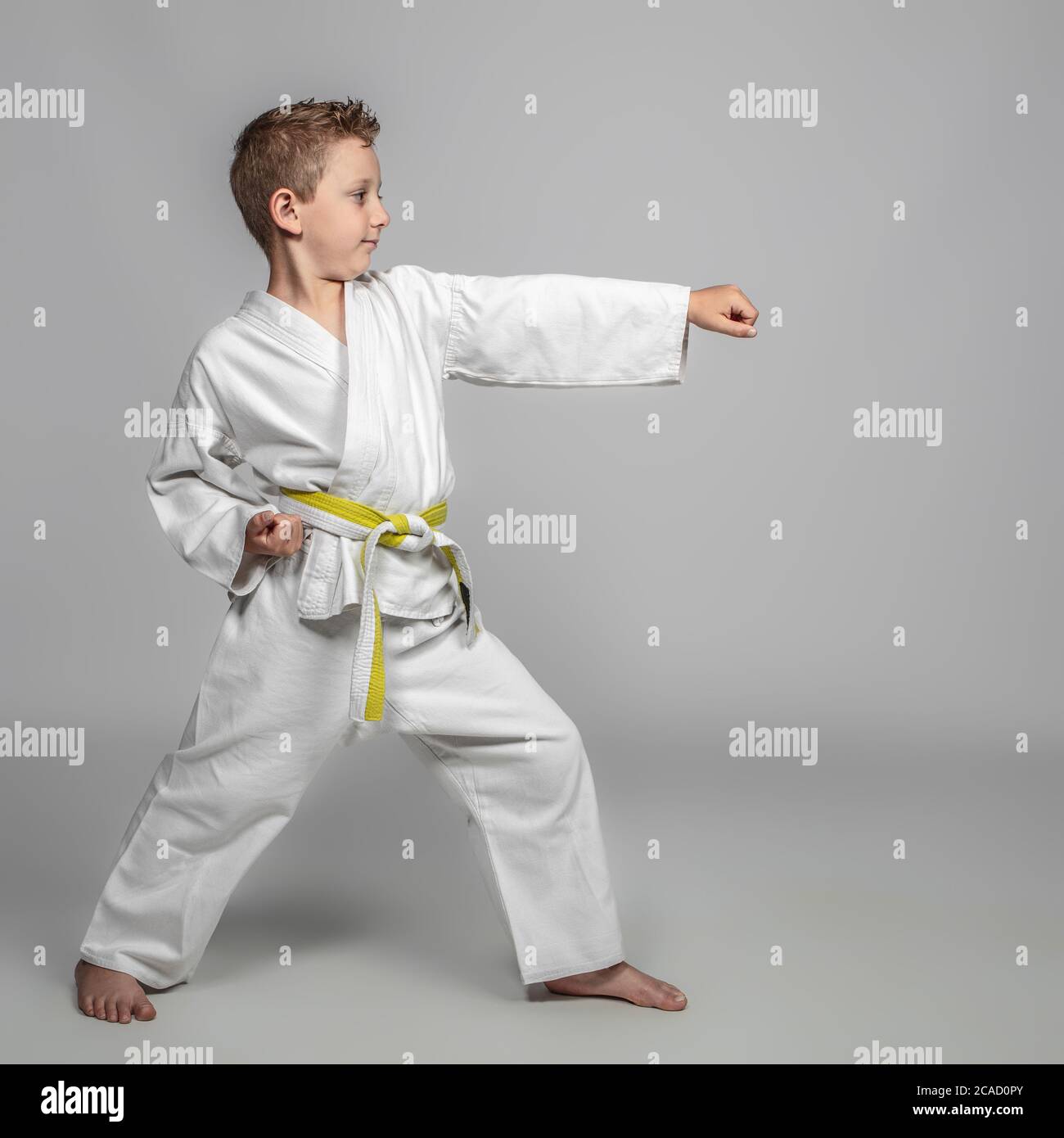 child practicing martial arts intent on performing a kata. youth sport ...