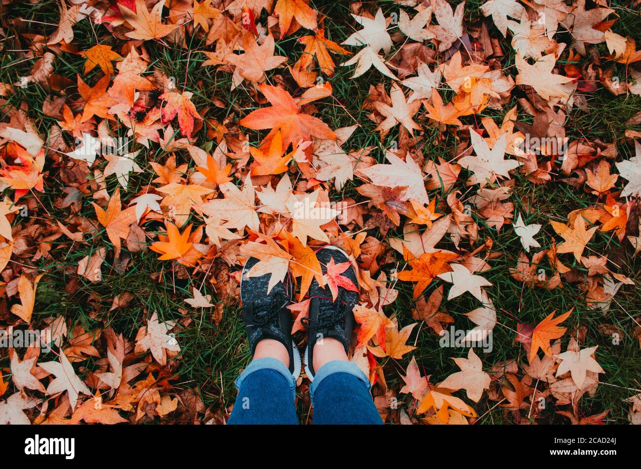 Orange and black feet hi-res stock photography and images - Alamy