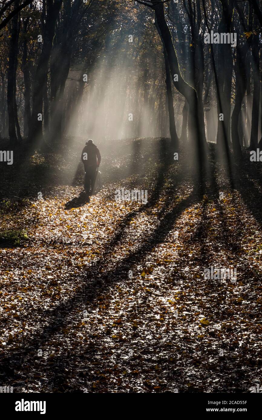 Mist walking hi-res stock photography and images - Alamy