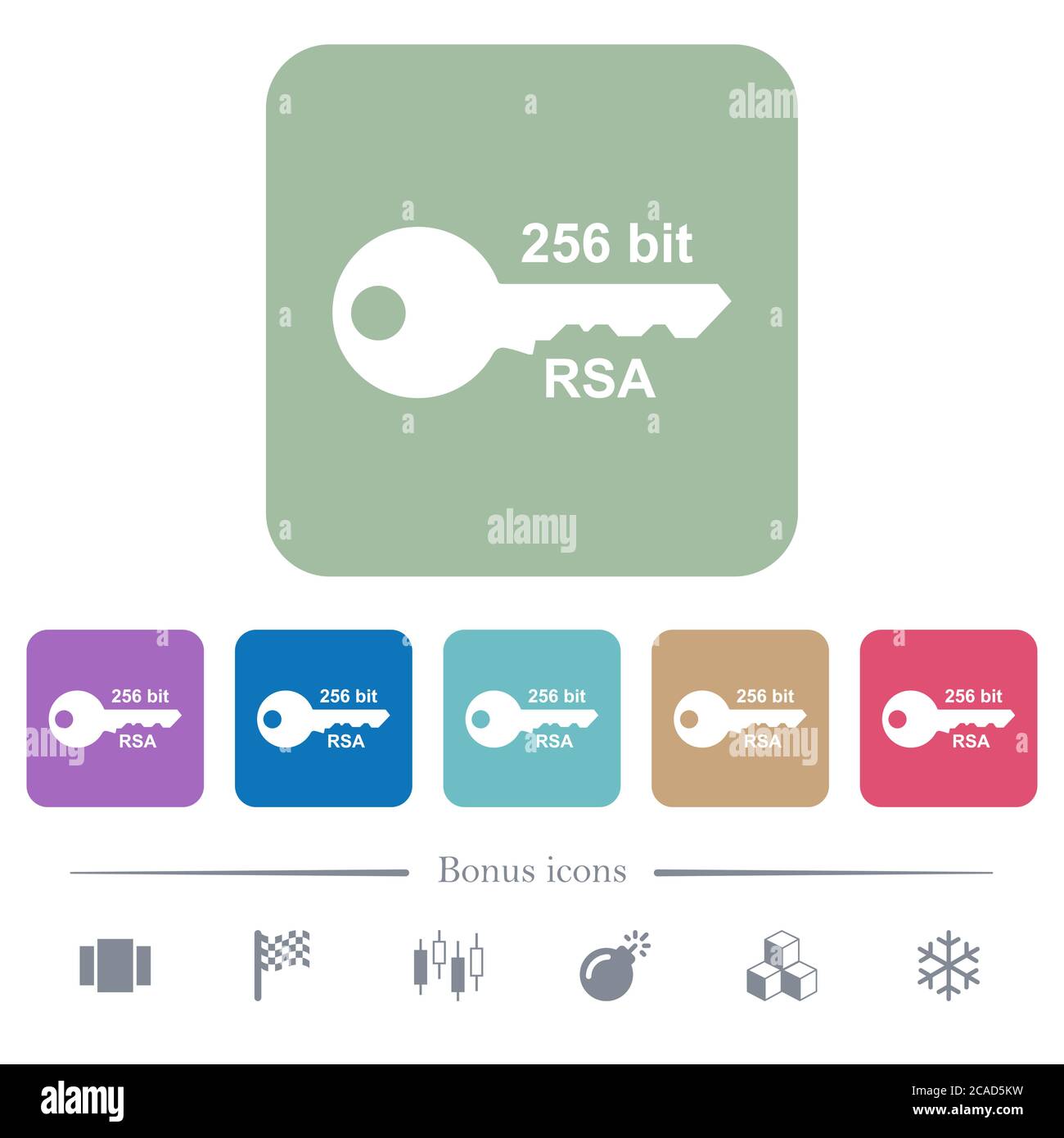 256 bit rsa encryption white flat icons on color rounded square backgrounds. 6 bonus icons ...