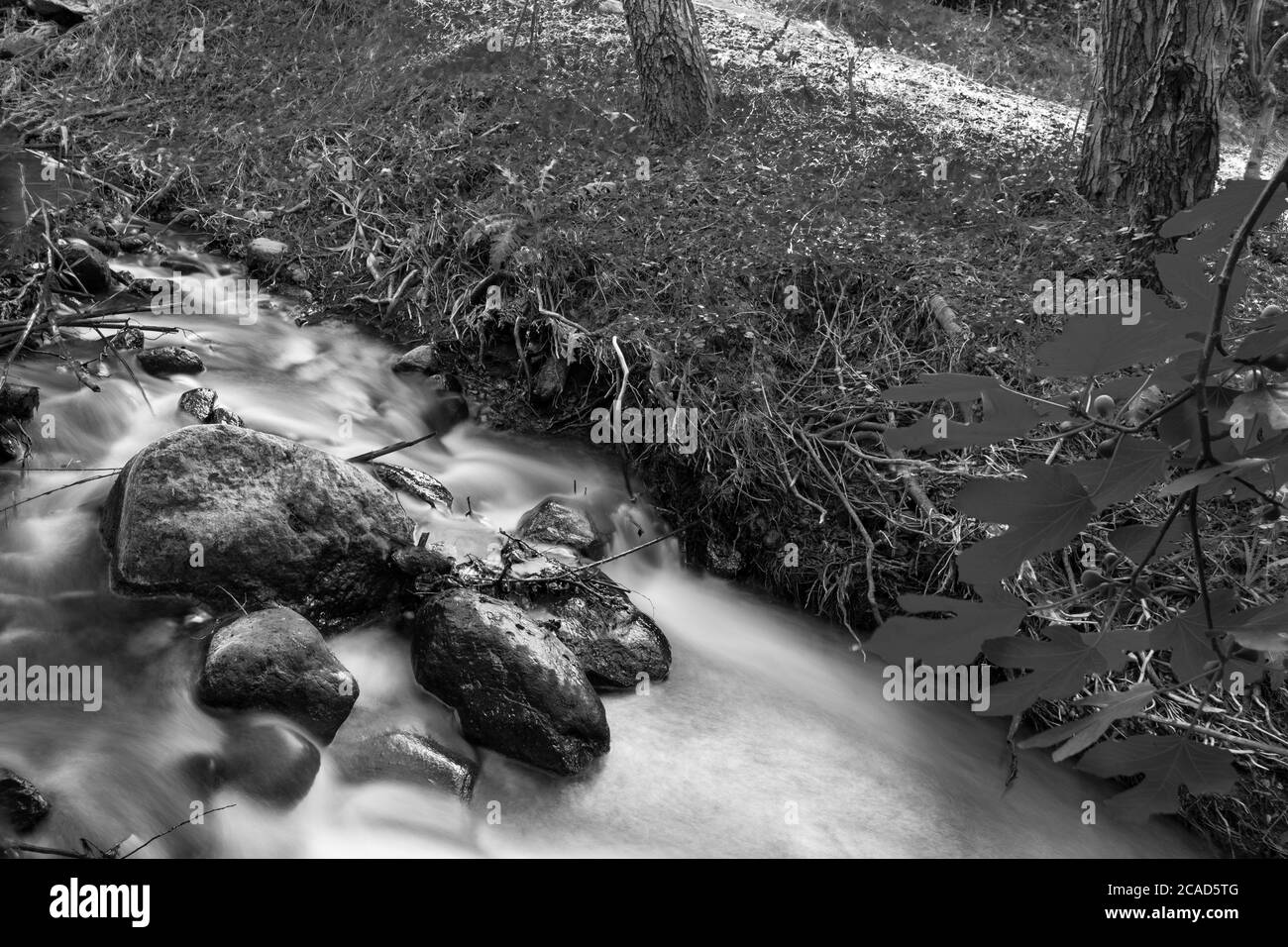 Pure water stream with smooth flow over rocky mountain terrain in the ...
